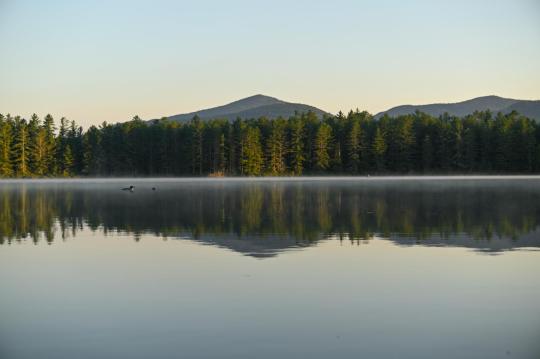 New York Campgrounds and Camping - ReserveAmerica