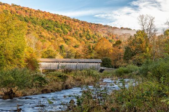 New York Campgrounds and Camping - ReserveAmerica